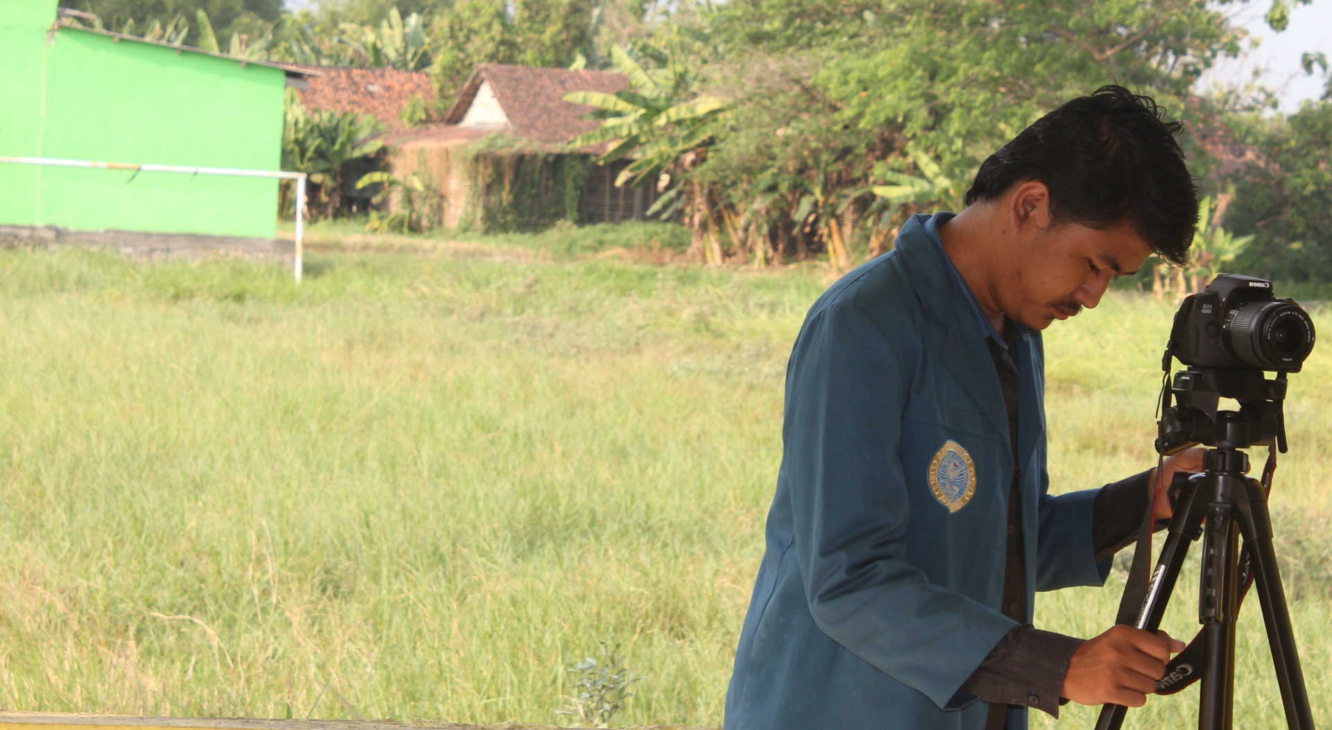 DNP - My Curriculum Vitae